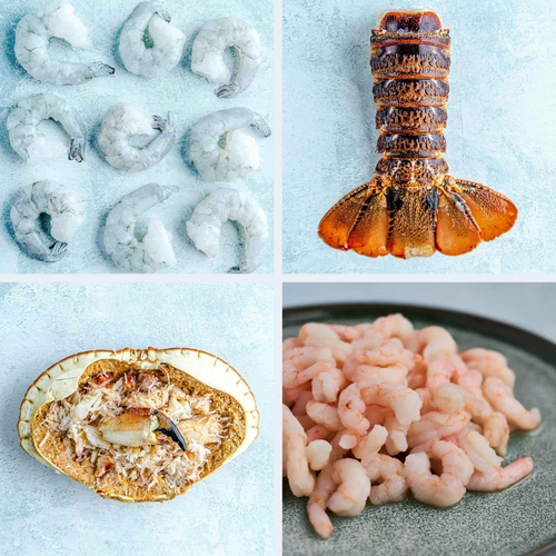Seafood Boxes | Food Boxes | Next Day Delivery – The Fish Society