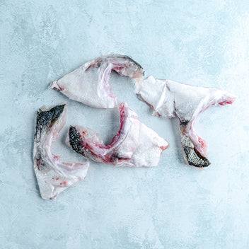 Fish Collars – The Fish Society