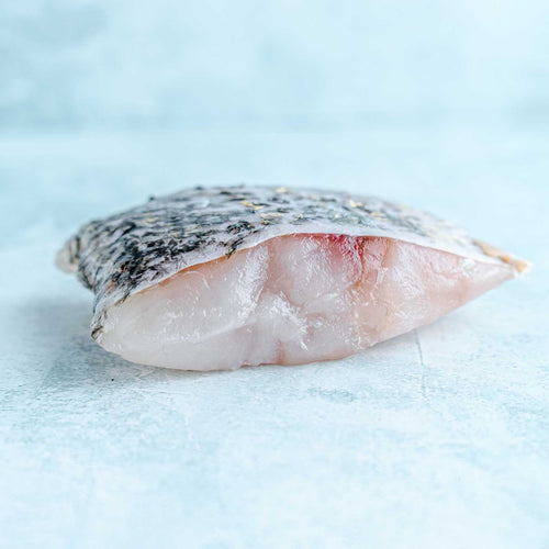 Buy Pike Online | Next Day Delivery – The Fish Society