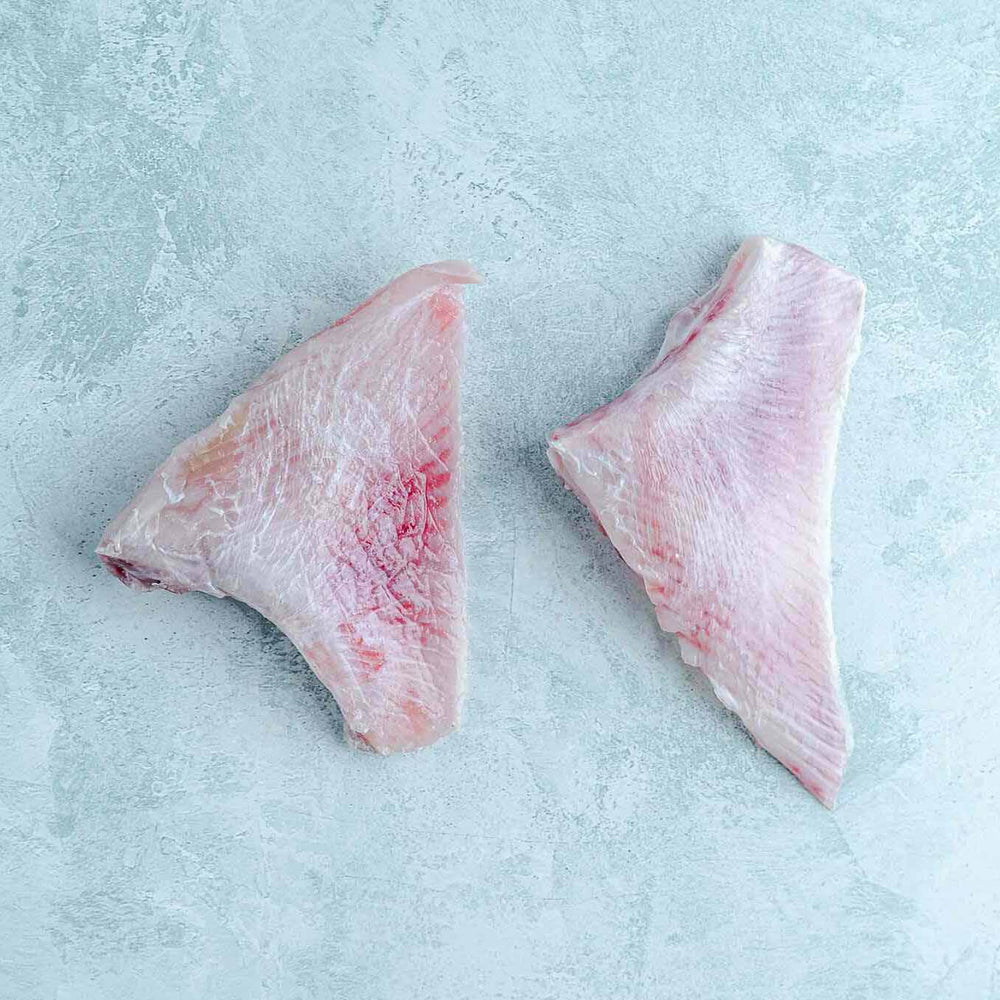 Buy Skate Wings Online | Next Day Delivery – The Fish Society